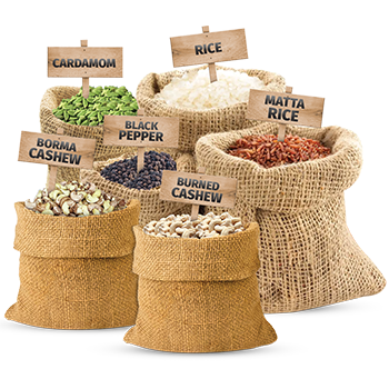 FIRA The Flavour of India